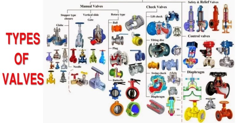 The coefficient of velocity (Cv)
