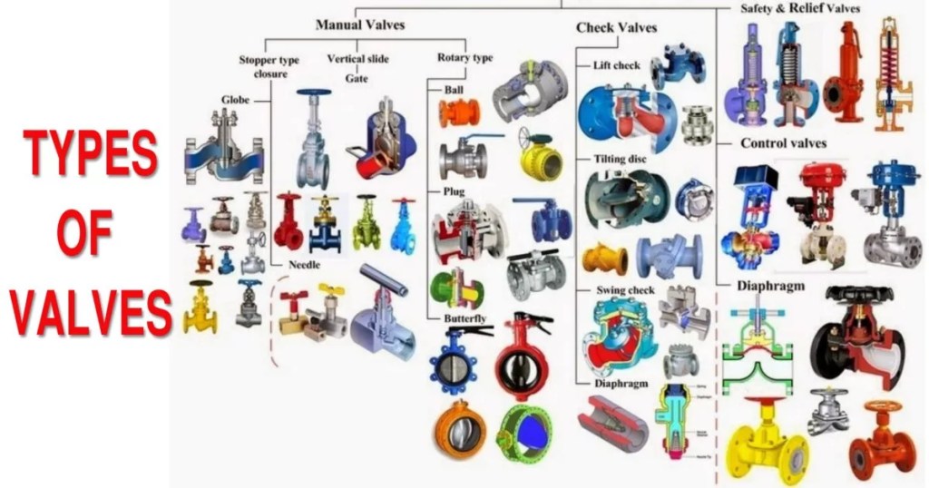 The coefficient of velocity (Cv)